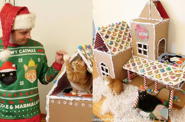 Shtëpia e Gingerbread DIY për macet është shumë joshëse për t'i rezistuar [Video] 29260_1