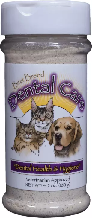 Pinakamahusay na Dental Supplement para sa Mga Pusa 29514_11