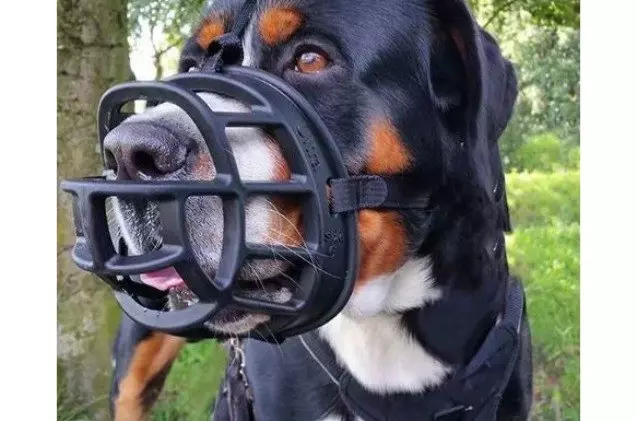 Honden kunnen zich zelfverzekerd en beschermd voelen met de Baskerville Ultra Dog Muzzle