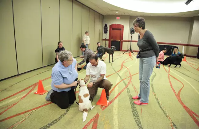 Association des dresseurs de chiens professionnels Une ressource précieuse pour les dresseurs et les parents d'animaux 2988_1