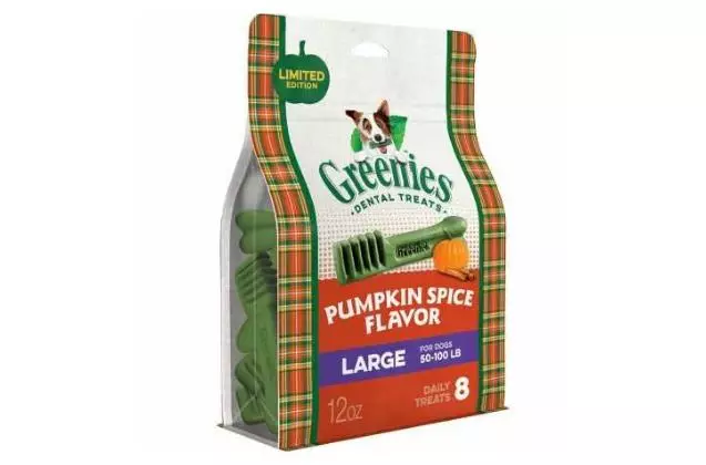 Pumpkin Spice Pet Essentials för en perfekt höst 29942_7