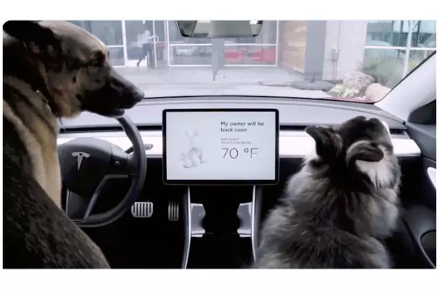 Tesla rolt hondenmodus uit om ervoor te zorgen dat uw hond koel blijft tijdens het wachten in de auto 3052_1