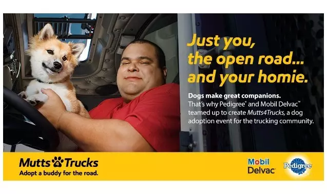 Ang Mutts4Trucks usa ka kampanya sa pagpares sa mga iro nga walay puy-anan sa mga trak