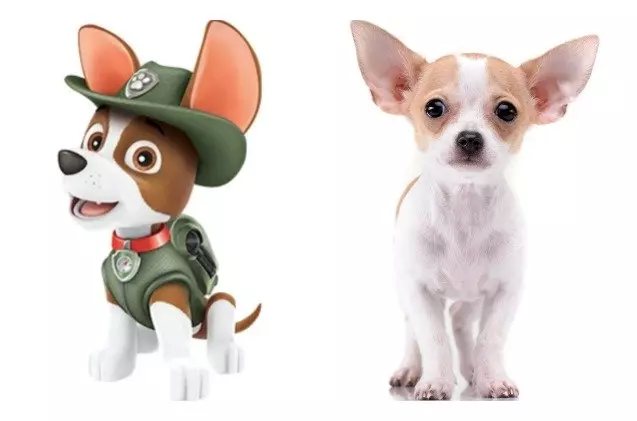 Ahli Paw Patrol Mana Yang Sesuai Untuk Keluarga Anda? 30677_1