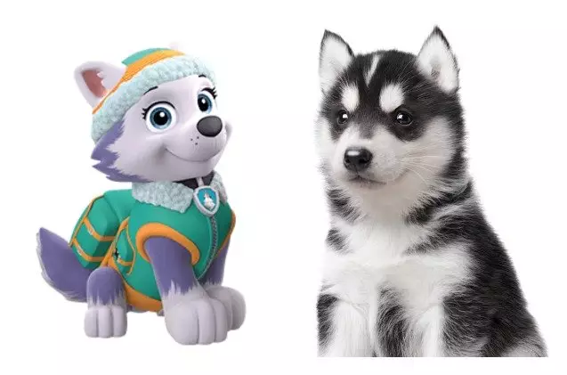 Everest elsker kulden i Paw Patrol