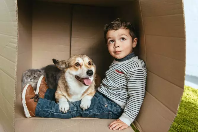 O que as novas mães devem saber sobre cães e crianças 30818_1