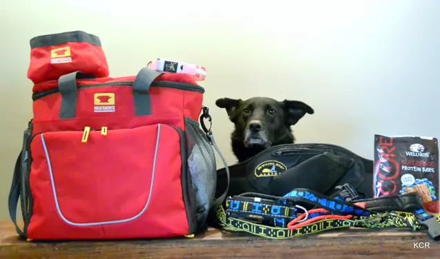 Mountainsmith-k-9-cube-review-1