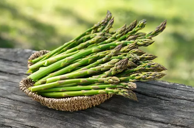 តើសត្វឆ្កែអាចបរិភោគ Asparagus បានទេ? 30890_1