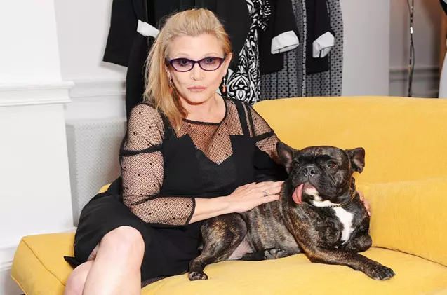 Bulldogê frensî yê hezkirî yê Carrie Fisher mirina xwe şîna dike 3136_1