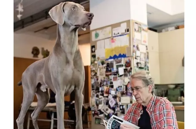 Un fotógrafo de cans comparte o seu amor polos seus temas peludos [vídeo] 31664_1