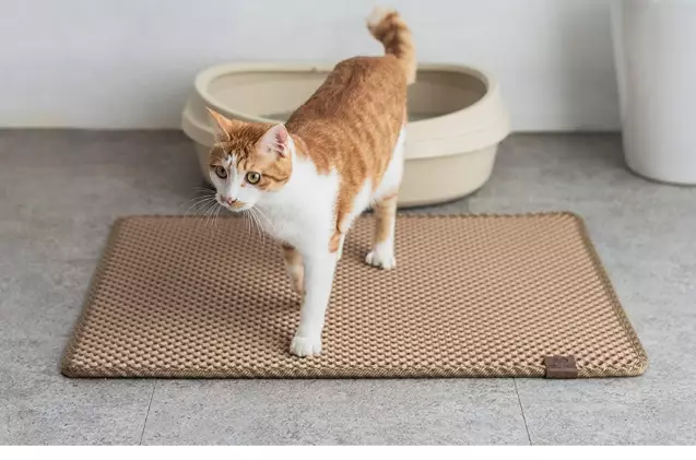 Pinakamahusay na Cat Litter Mats 32047_1