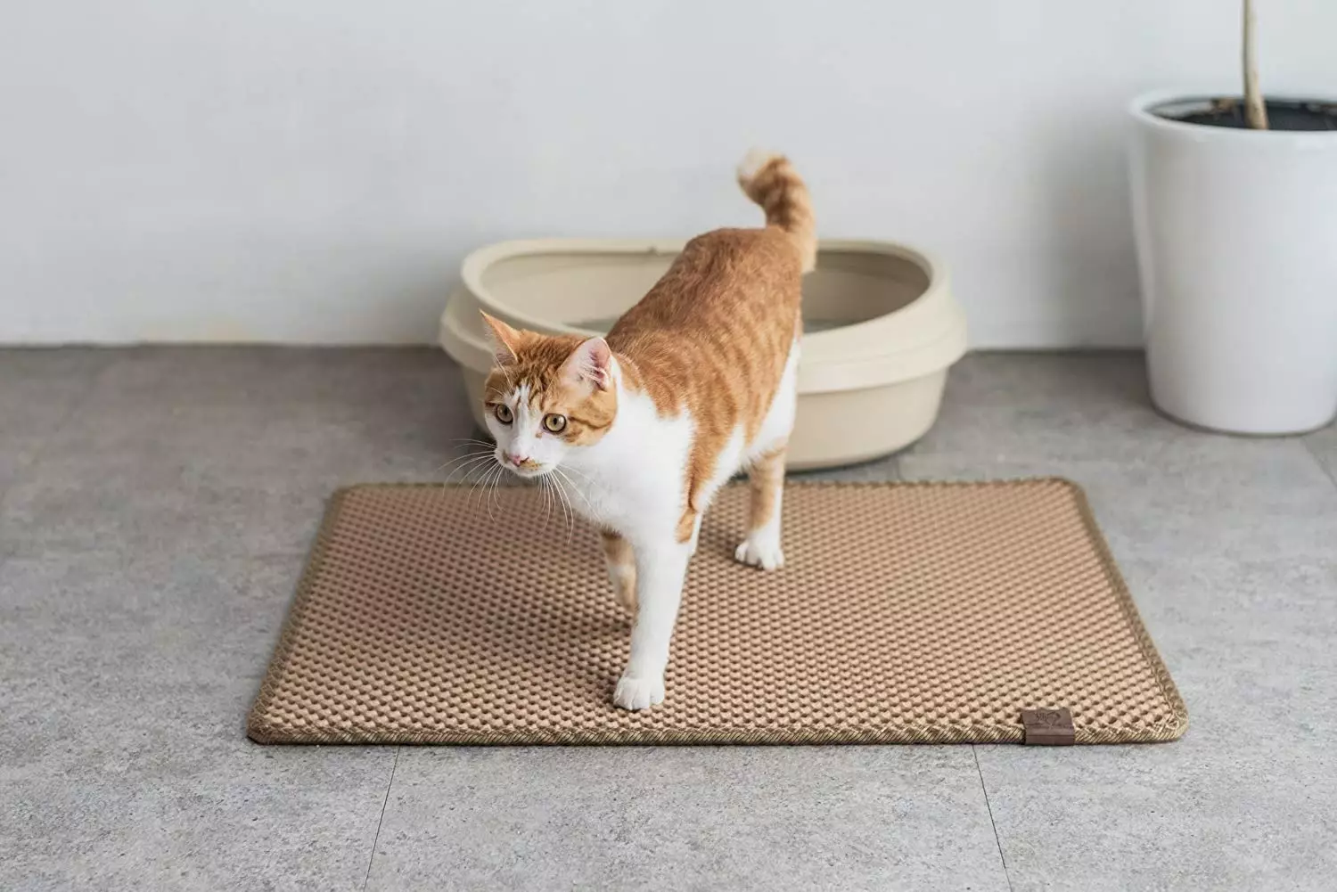 Top 10 Best Cat Litter Mats: BlackHole Litter Mat