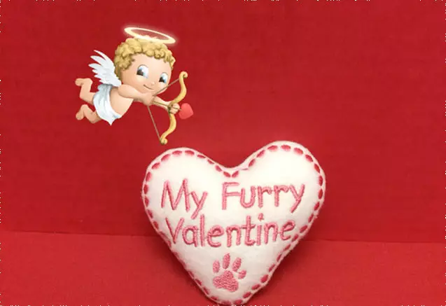 1Vdaydogtoy