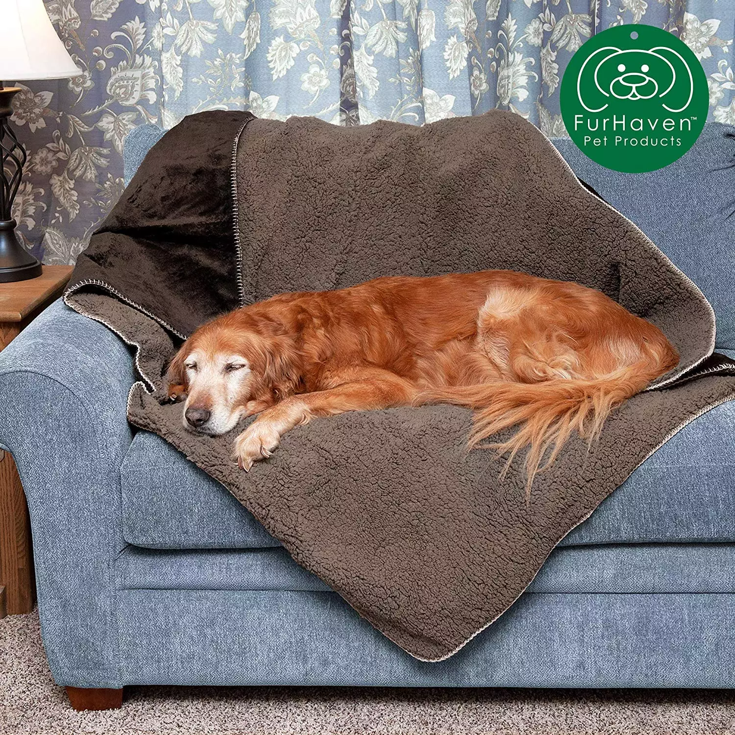 Best Blanket Dog 32177_2