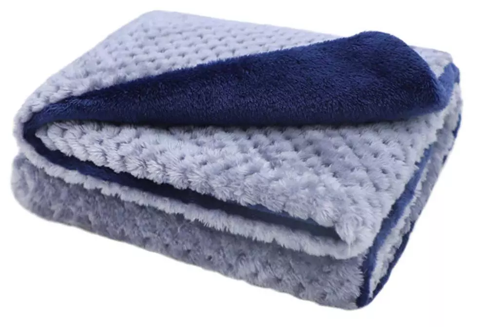 Best Blanket Dog 32177_9