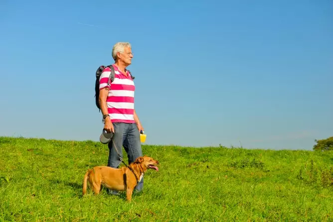 Étude : Les personnes âgées qui promènent leur chien jouissent d'une meilleure santé physique 3217_1