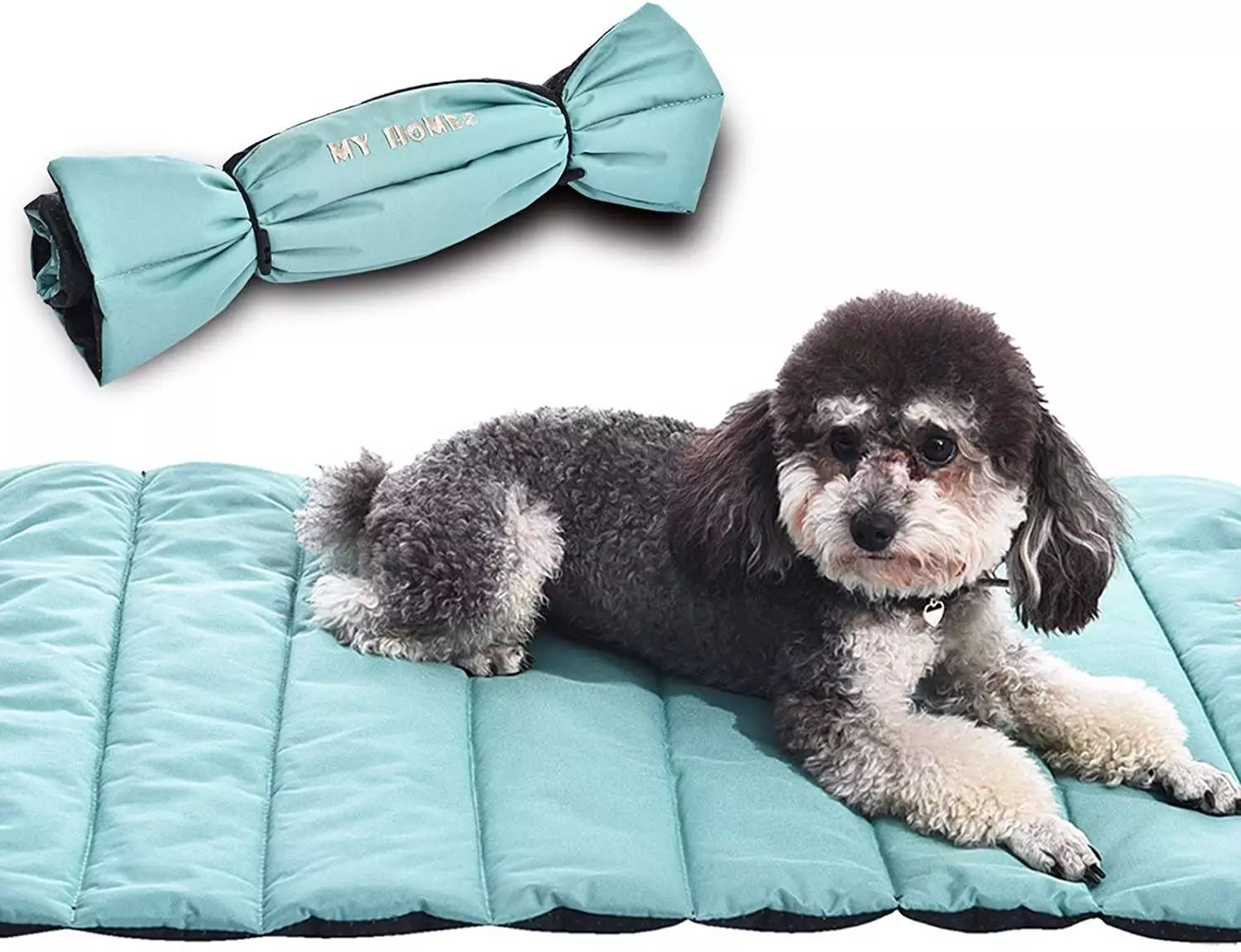 Bêste Dog Travel Beds 32318_10