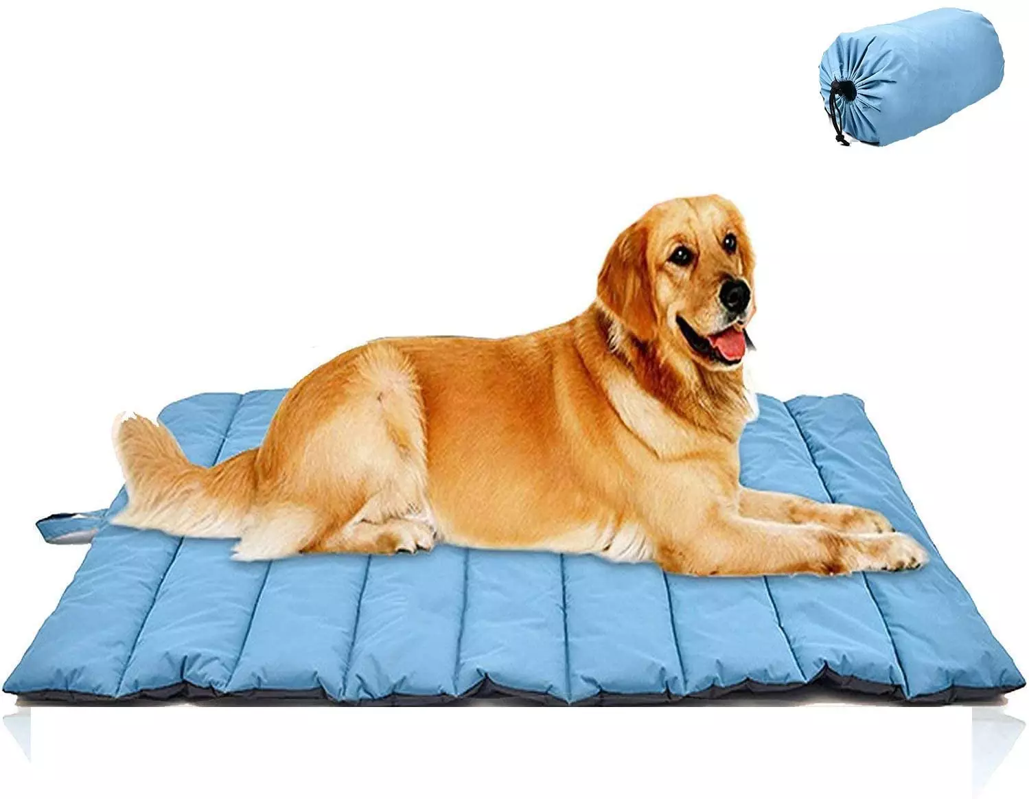 Bêste Dog Travel Beds 32318_8