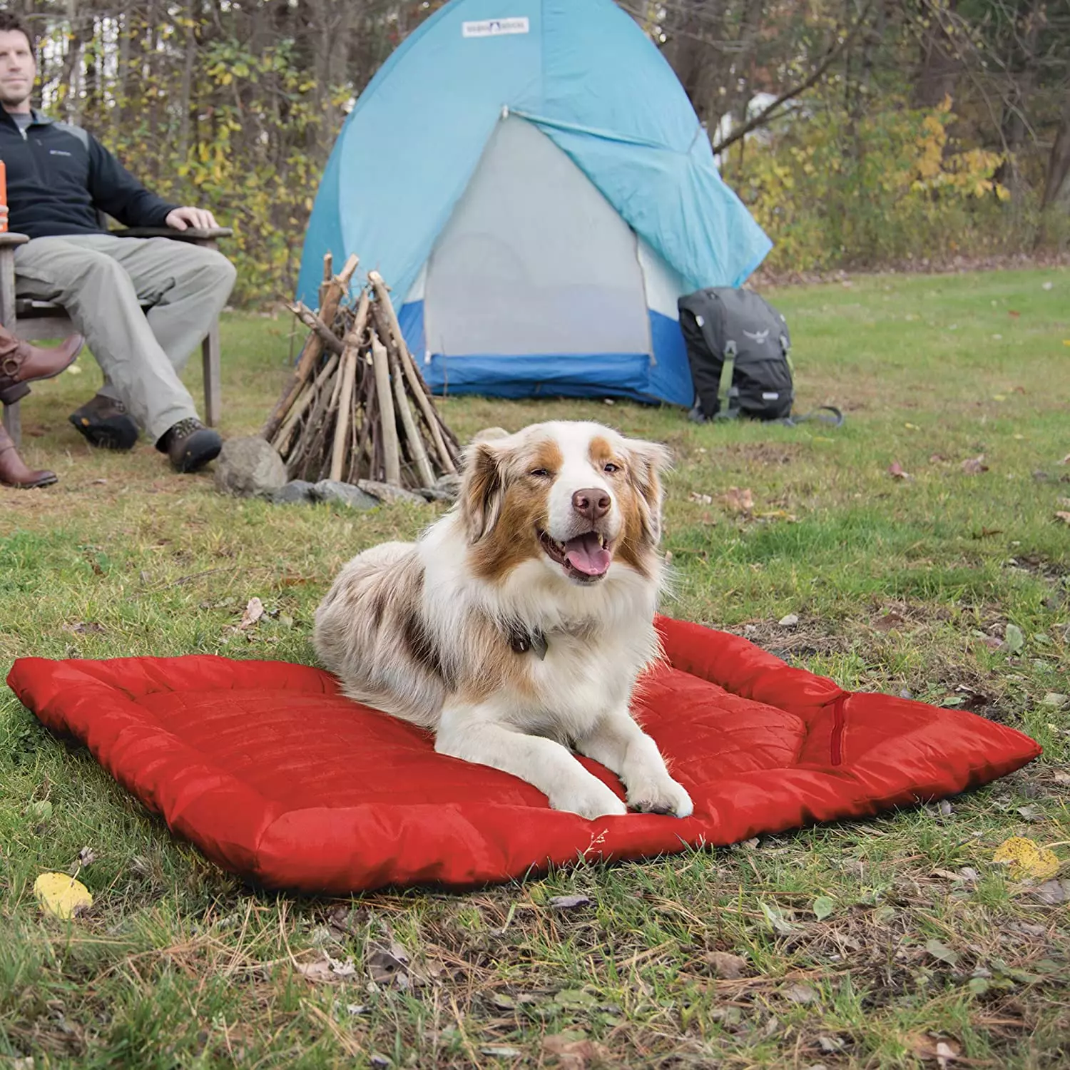 Las mejores camas de viaje para perros 32318_9