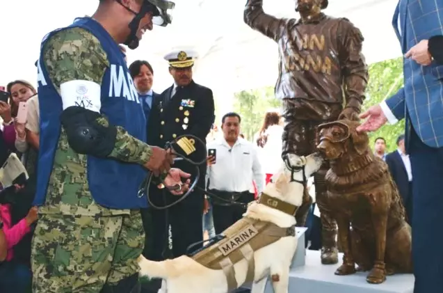 Erdbeben-Rettungshund bekommt Statue zu ihren Ehren 32841_1