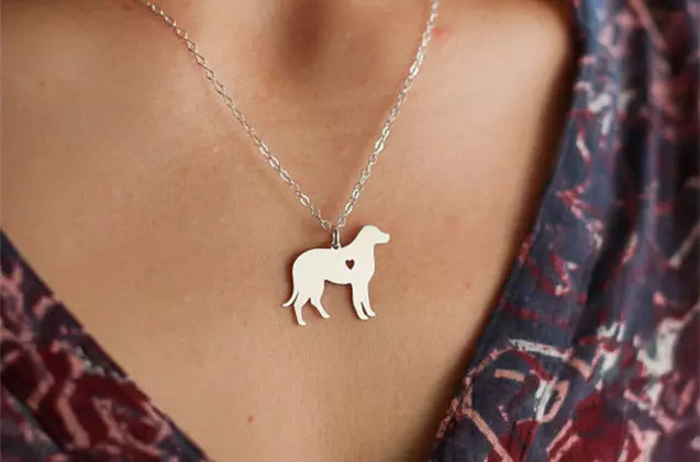 Fanomezana ho an'ny tia Labrador Retriever: Lab Necklace