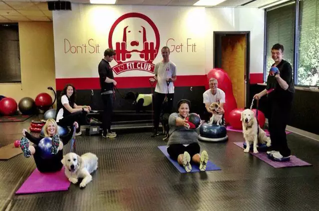 Fitness With Fido – Mova-se e seja Muttivated! 3318_1