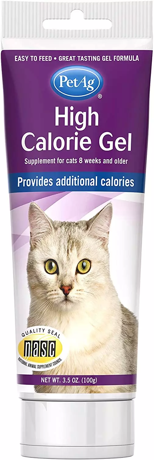 Meilleurs suppléments de gain de poids pour chat 33336_4