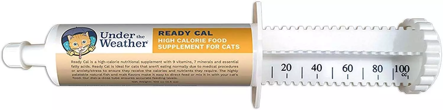 Meilleurs suppléments de gain de poids pour chat 33336_6