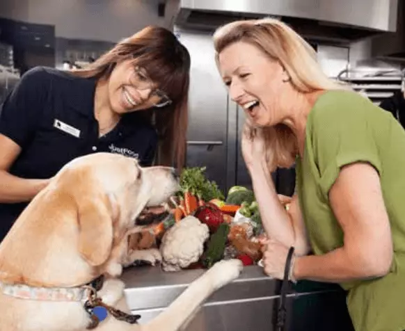 Apenas comida para cães: comida de cachorro recém-feita que se concentra na saúde do seu cão 33361_3