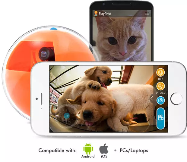 Gadget Gifts for Geeky Pets: PlayDate smart ball