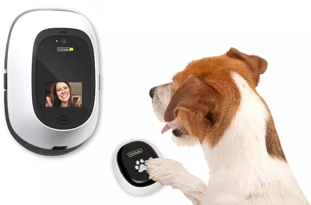 Gadgetkado's foar Geeky húsdieren: PetChatz Paw-Per-View en PawCall