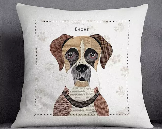 Rigali Knockout għal Boxer Buffs: Boxer Cushion