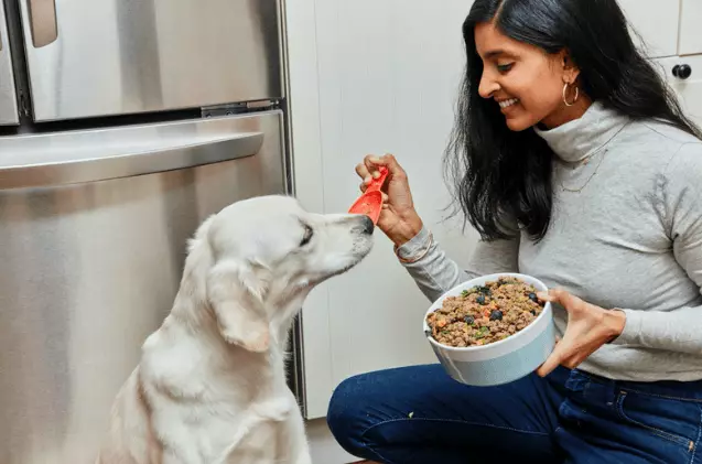 Faedah Makanan Anjing Segar: Adakah Ia Sesuai untuk Anak Anjing Anda? 33706_3