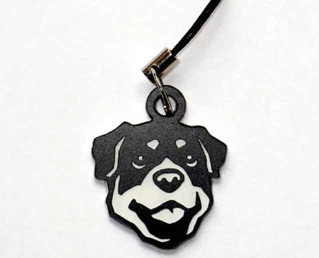 6Rottweiler Charm