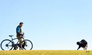 anar en bicicleta amb gossos