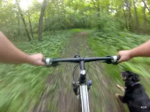 DCIM100GOPRO