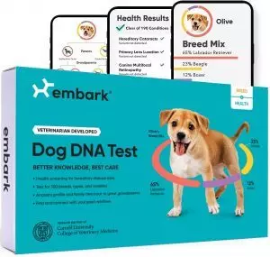 Bêste Dog DNA Tests 34005_2