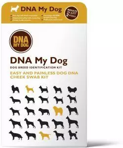 Bästa hund-DNA-test 34005_5