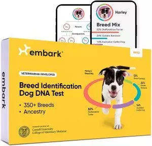 Bästa hund-DNA-test 34005_6