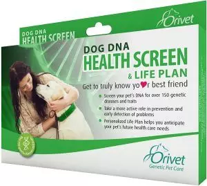 En İyi Köpek DNA Testleri 34005_7