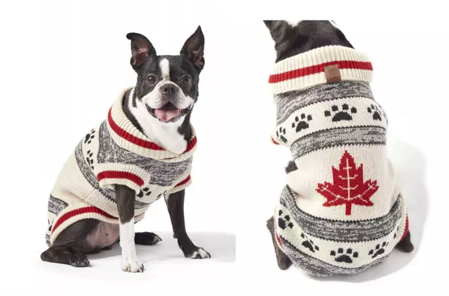 Canuck Eh-ssentials for Canadian Canines: Roots Dog Sweater