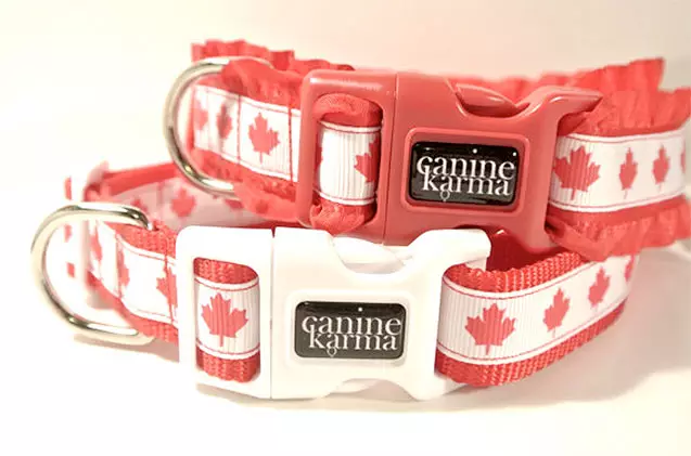 Canuck Eh-ssentials for Canadian Canines: Canada Dog Collar