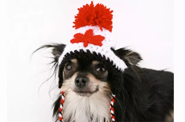 Canuck Eh-essensielle for kanadiske hjørnetenner: Canada Dog Hat