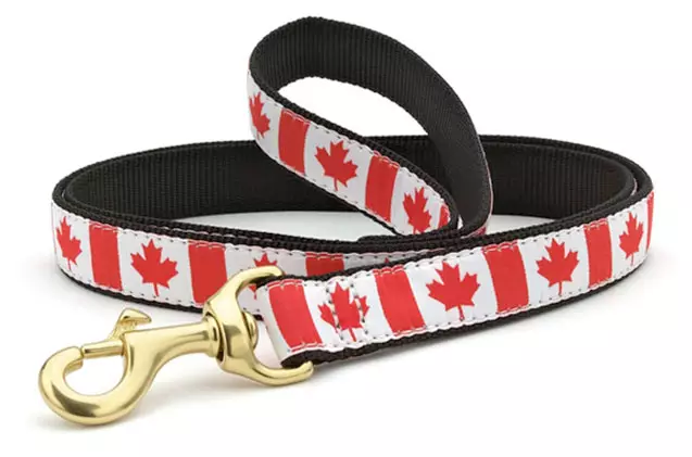 Canuck Eh-ssentials for Canadian Canines: Canada Dog Leash