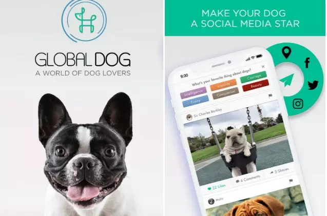 The Global Dog möchte Ihren Hund zum Star machen