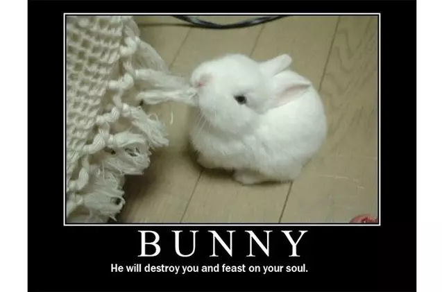 5BunnyPoster