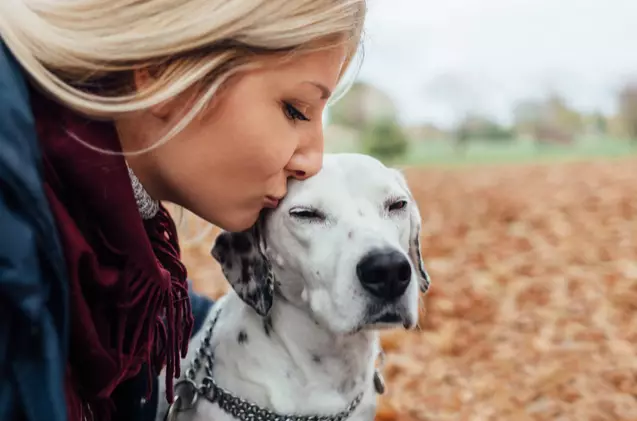 Abrigos usarão tecnologia de reconhecimento facial para reunir donos com animais de estimação perdidos 3559_1