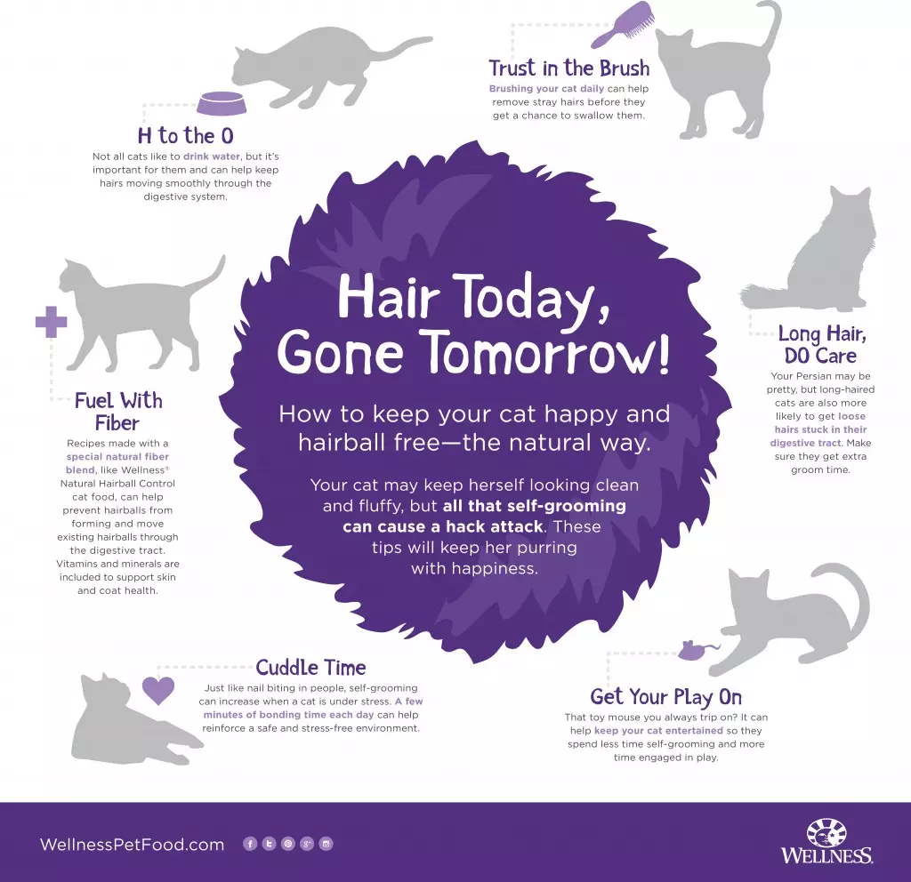 wellness-hairball-infographic-rgb_FINAL