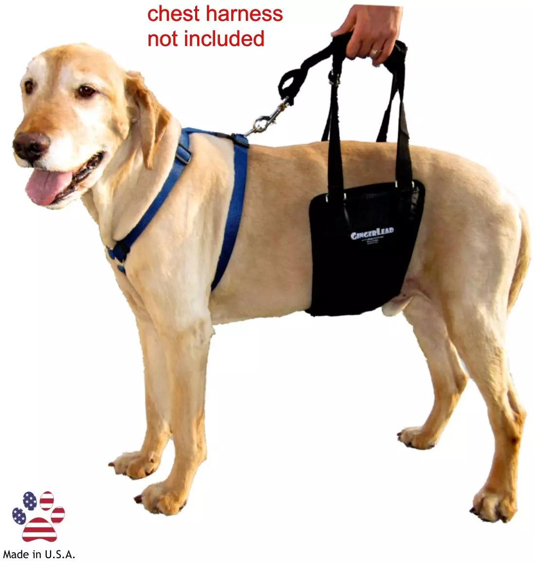 Bêste Dog Lift Harnesses 379_11