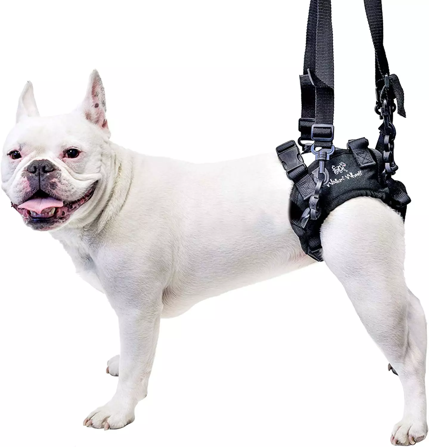 Pangalusna Dog Angkat Harnesses 379_2